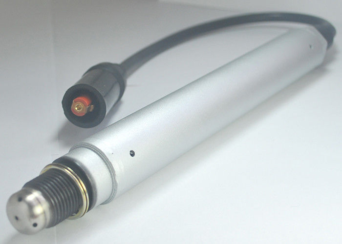 Prechamber Spark Plug Matching For 12453562 Original BIOGAS