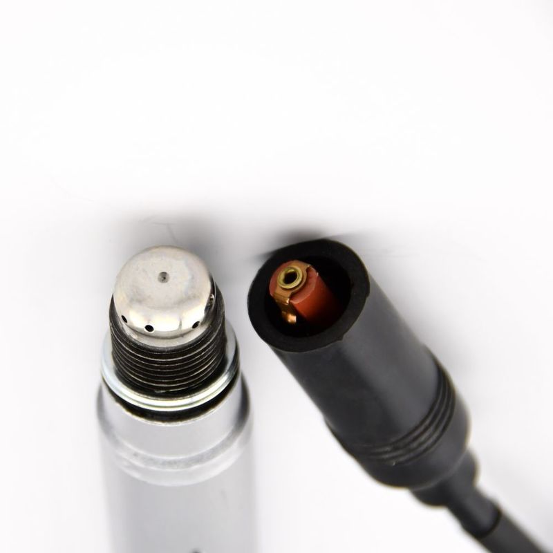 8 Hole Prechamber Spark Plug TCG 2020 For Natural Gas Or Biogas